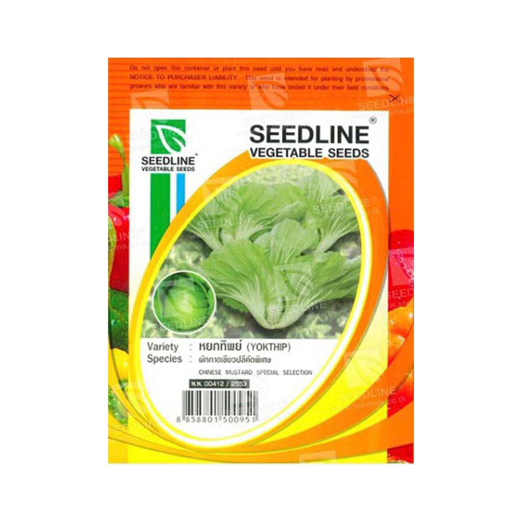 (พร้อมส่ง) SEEDLINE - เมล็ดผักกาดเขียวปลีคัดพิเศษ (หยกทิพย์) | Shopee Thailand