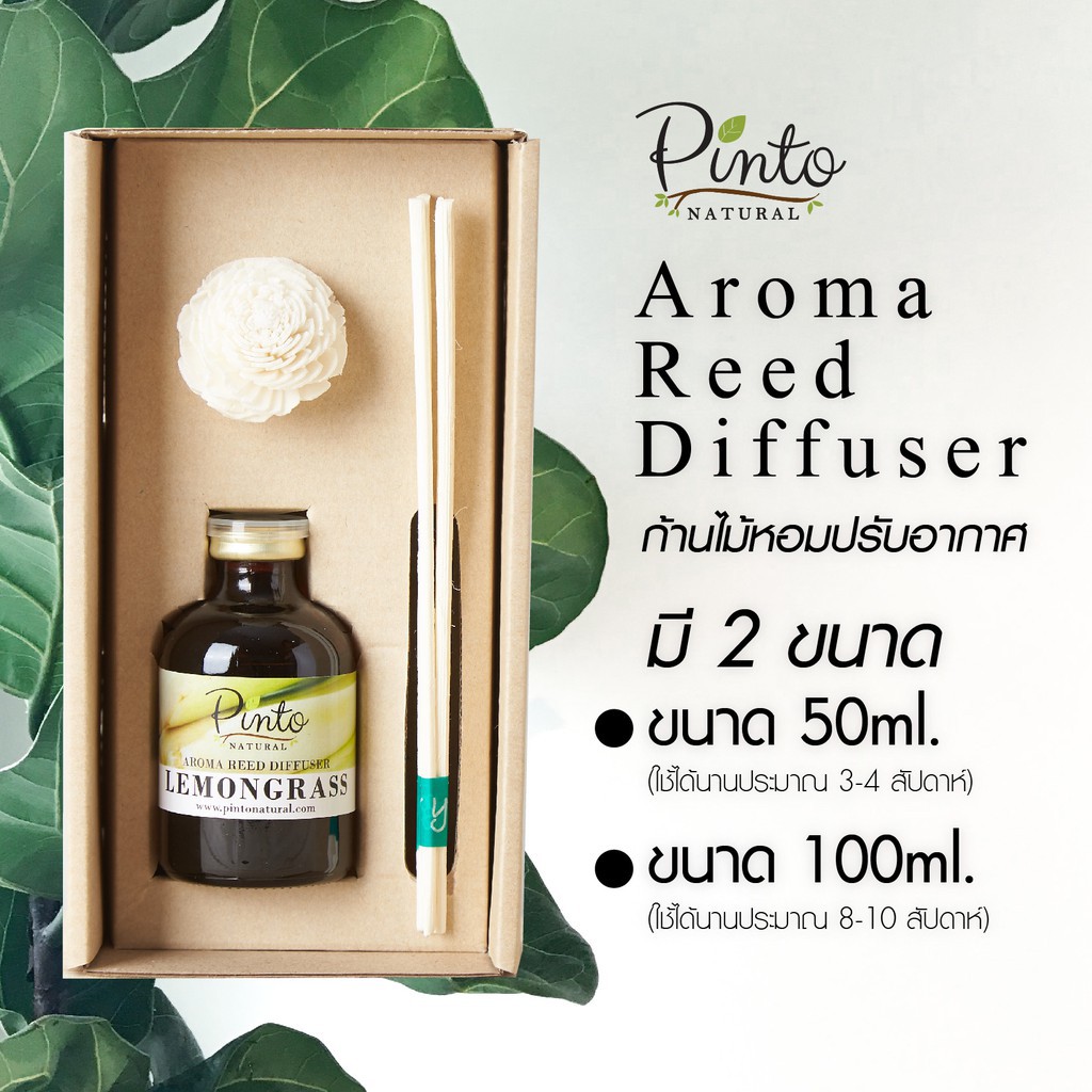 Pinto Natural ก้านไม้หอมปรับอากาศ 50ml Aroma Reed Diffuser มี 26 กลิ่น ...