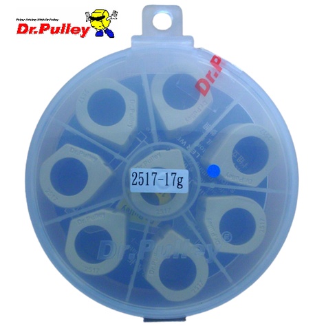 Dr Pulley sliding rollers SR 2517-8 17g Piaggio MP3 400 MP3 500 ...