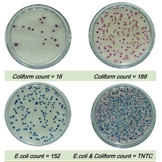 ชุดทดสอบอี.โคไลและโคลิฟอร์มในน้ำและน้ำแข็ง (E.Coli and Coliform ...