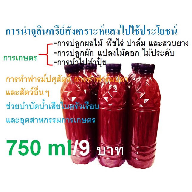750 ml หัวเชื้อจุลินทรีย์สังเคราะห์แสง (photosynthetic bacteria; PSB) พร้อมใช้งานและขยายหัวเชื้อ ...