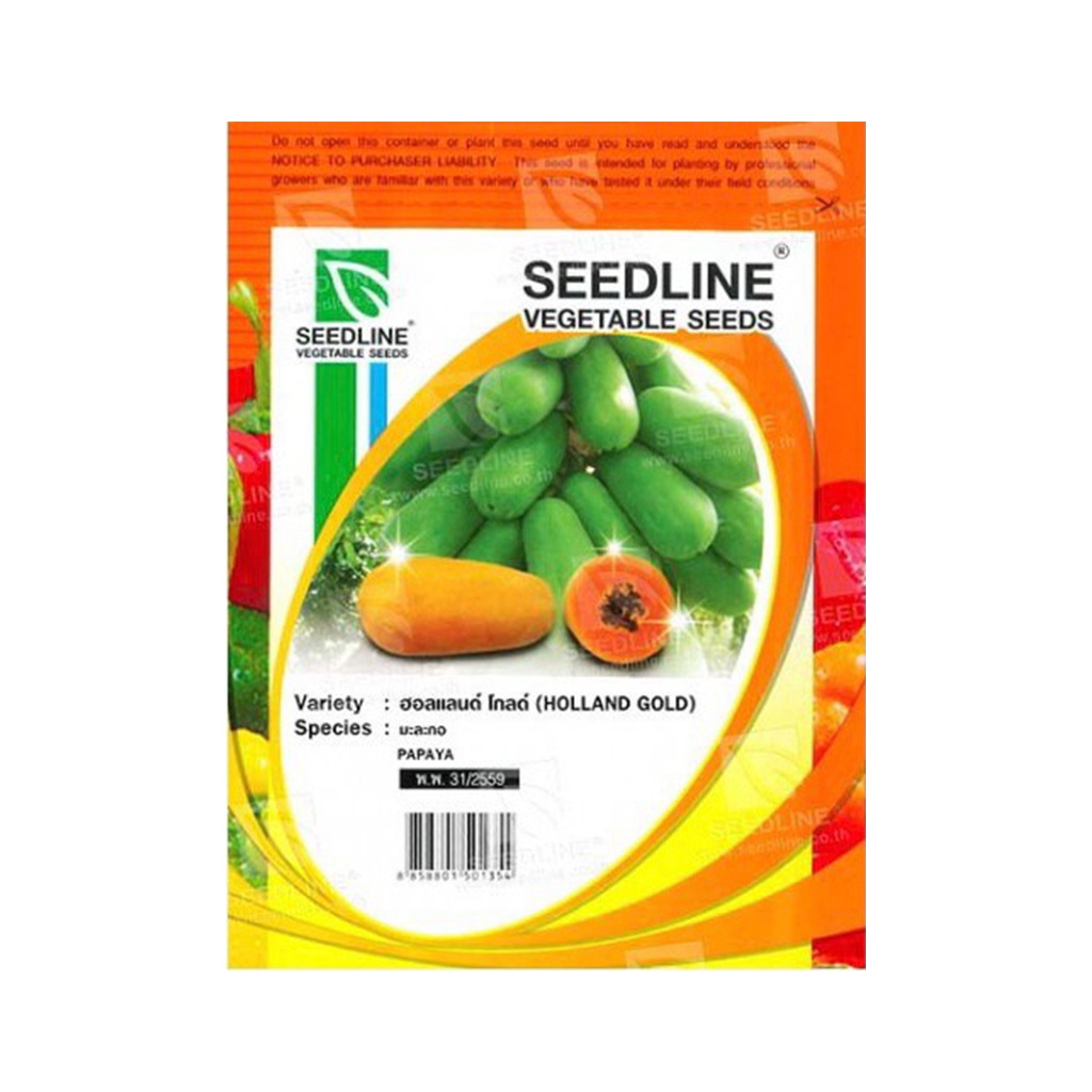 (พร้อมส่ง) SEEDLINE - เมล็ดมะละกอ (ฮอลแลนด์โกลด์) | Shopee Thailand