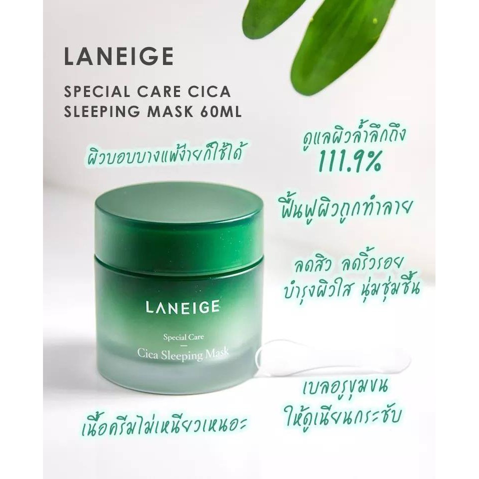 Laneige Cica Sleeping Mask ขนาด full size 60 ml. (New 2019) | Shopee ...