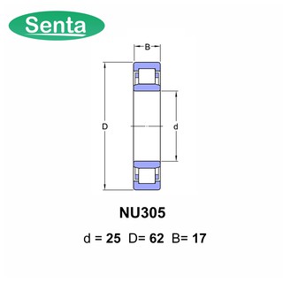 ตลับลูกปืนเม็ดทรงกระบอก NU305 ขนาดใน25 นอก62 หนา17 มิลลิเมตร ...