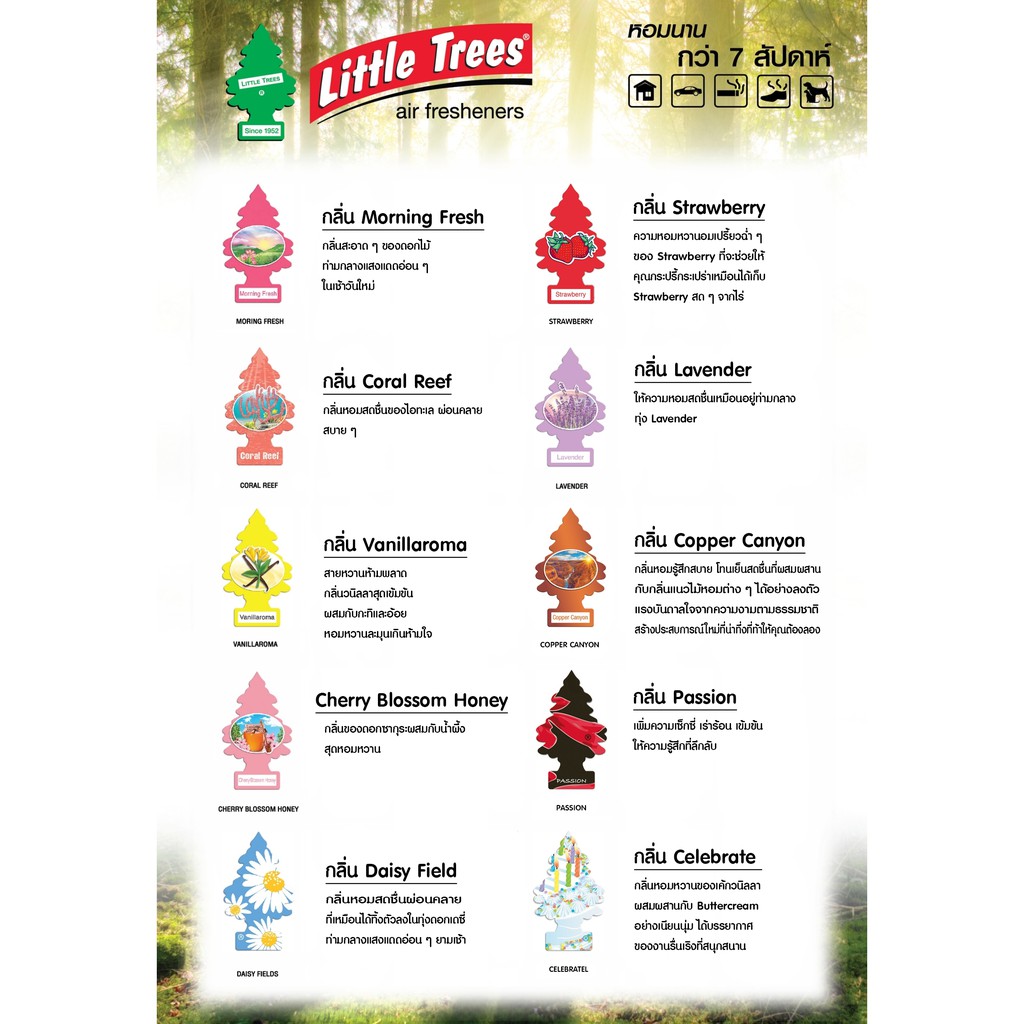 Little Trees แผ่นน้ำหอมปรับอากาศ | Shopee Thailand