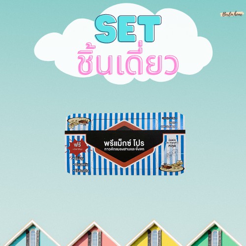 Premax Pro บ้านแมลงสาบ ดักแมลงสาบ กำจัดแมลงสาบ กำจัดจิ้งจก แมลงสาบ ...