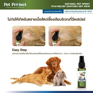 [29275] Pet Protect Natural Spray สเปรย์สมุนไพร 100% รักษาบาดแผล ขี้ ...