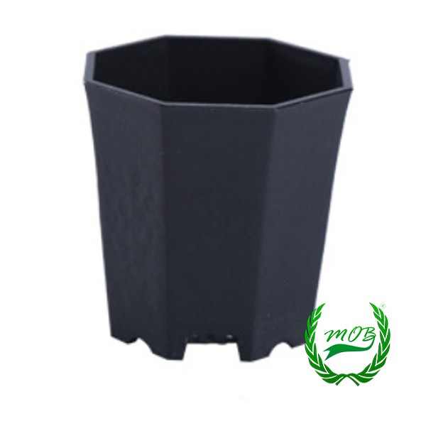 กระถาง 3 นิ้ว ทรง 8 เหลี่ยม กระถาง3นิ้ว กระถางทรงสูง กระถางแคคตัส ...