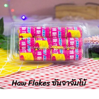 ซันจา เซียงจา จัมโบ้ ขนมเหรียญ บ๊วยเเผ่น Haw Flake 12 ชิ้น 300g ...