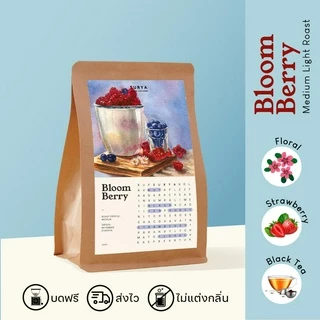 SURYA Coffee Explorers, ร้านค้าออนไลน์ | Shopee Thailand