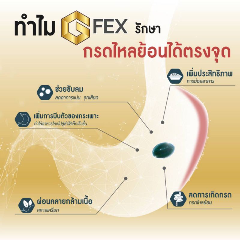 Gfex ลดกรดไหลย้อยโรคกระเพาะหายขาด | Shopee Thailand