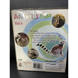 vcd Animals baby ฝึกทักษะประสาทสัมผัส เด็ก หมาป่า จิงโจ้ ลีเมอร์ หมี ...