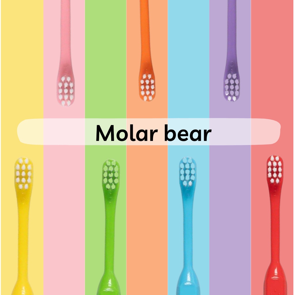 ส่งทุกวัน แปรงสีฟันเด็ก MOLAR BEAR (เด็กเล็ก 0-3 / 3-6 ปี) ขนนุ่มพอดี ...