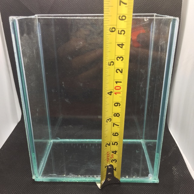 โหลปลากัด ขนาด 3x5x6 | Shopee Thailand