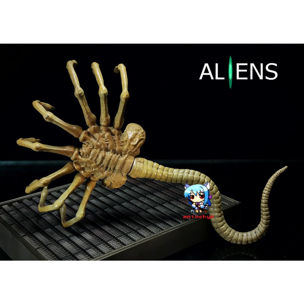 เอเลี่ยน เกาะหน้า Alien Xenomorph face hugger 1/6 resin model เรซิ่น ...
