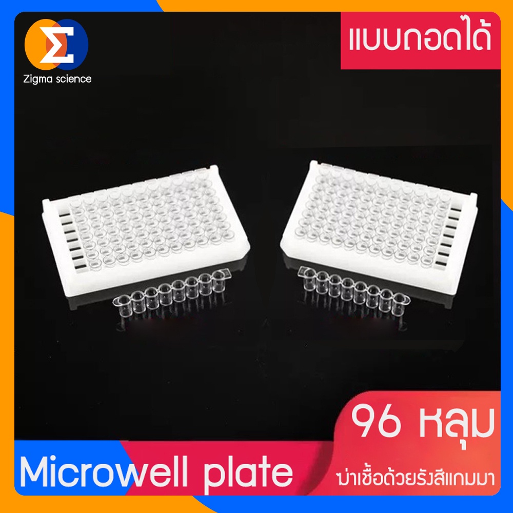 Zigma science - Detachable ELISA Plate, ไมโครเพลท, ไมโครเวลเพลท, ไมโคร ...