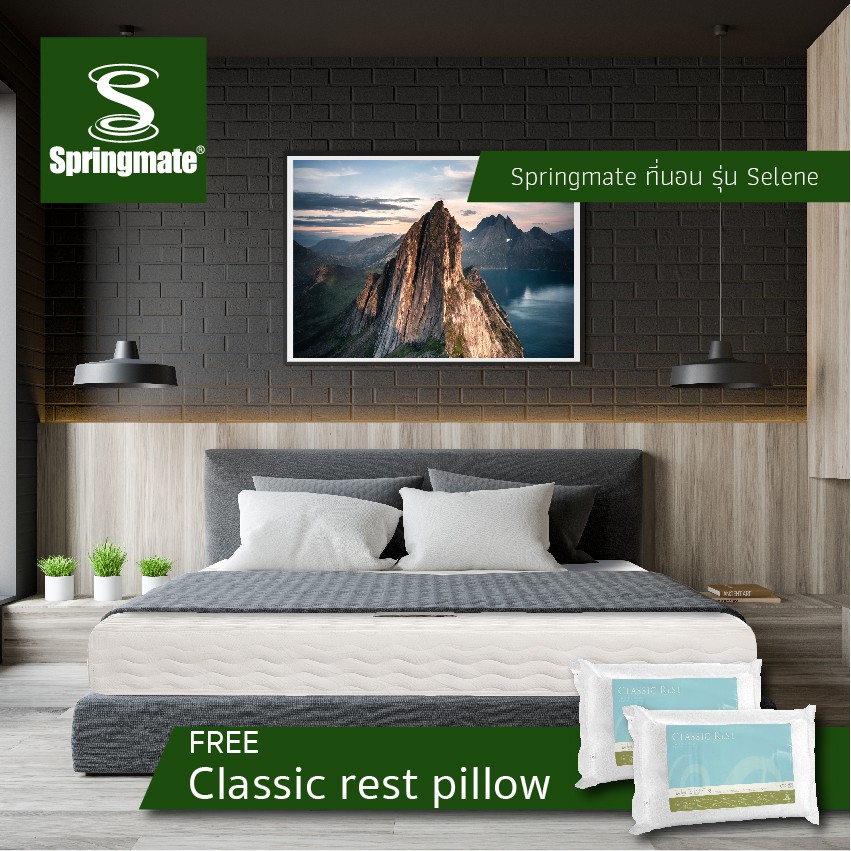 [ผ่อน 0% ส่งฟรีทั่วไทย] Springmate ที่นอนรุ่น Selene (เซลีน) แถมฟรี !!! หมอนหนุนสุขภาพกันไรฝุ่น ...