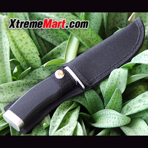 มีดใบตาย BUCK 768 hunting knife outdoor knife camping knife saber steel ...