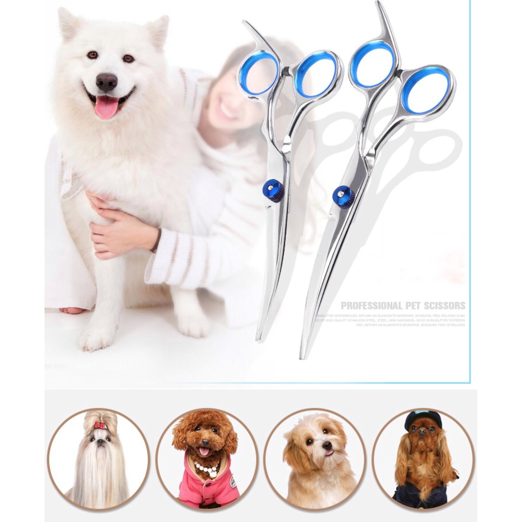 Top paw Grooming Scissors กรรไกรตัดขนสัตว์เลี้ยง | Shopee Thailand