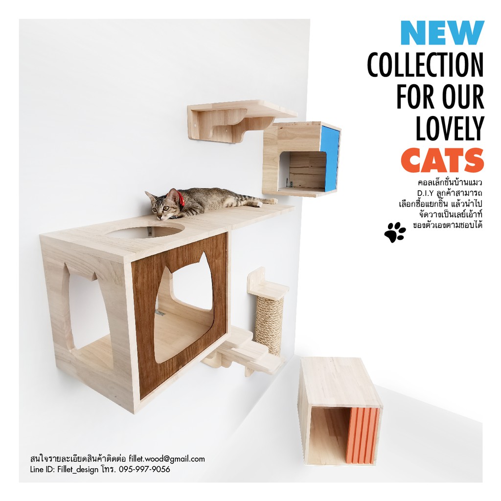 บ้านแมว Cat House | Shopee Thailand