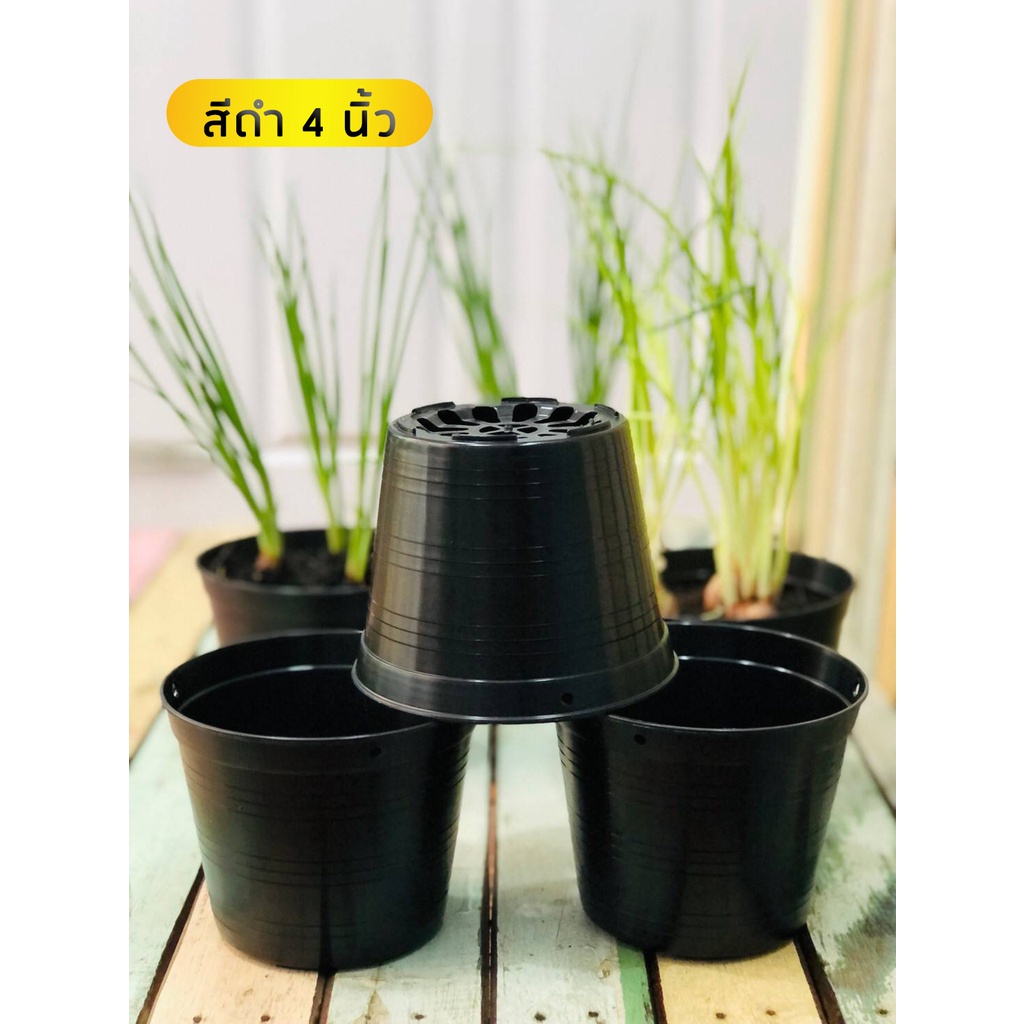 กระถางต้นไม้ ขนาด 2.5 นิ้ว / 3 นิ้ว / 4 นิ้ว แพ็ค 100 ใบ | Shopee Thailand