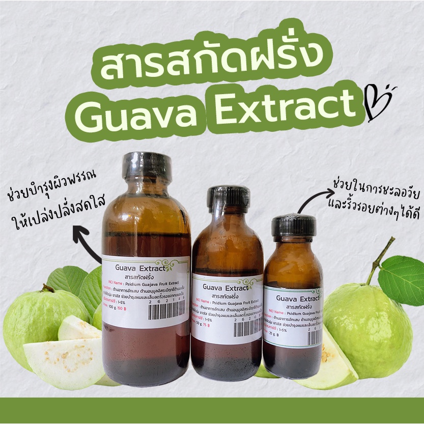 สารสกัดฝรั่ง Guava Extract | สารสกัดสมุนไพร | สำหรับผสมเครื่องสำอางเท่านั้น | Shopee Thailand