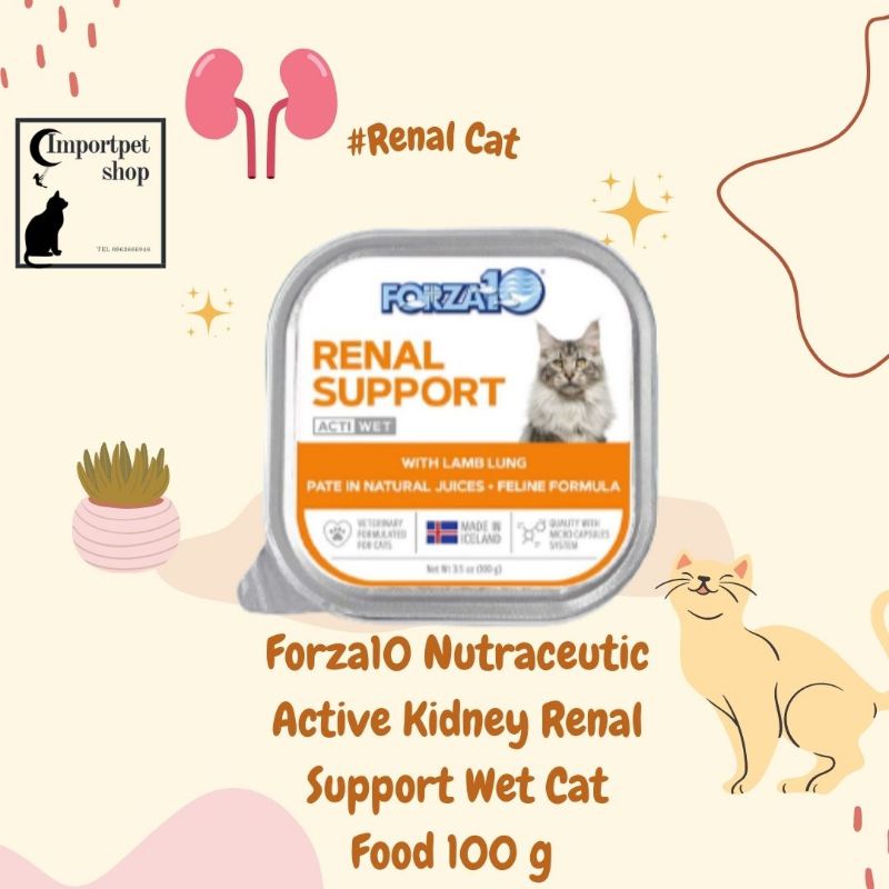 *พร้อมส่ง อาหารเปียกแมวโรคไตบำรุงไต รสแกะ(100 g) Forza10 Nutraceutic Active Kidney Renal Support ...