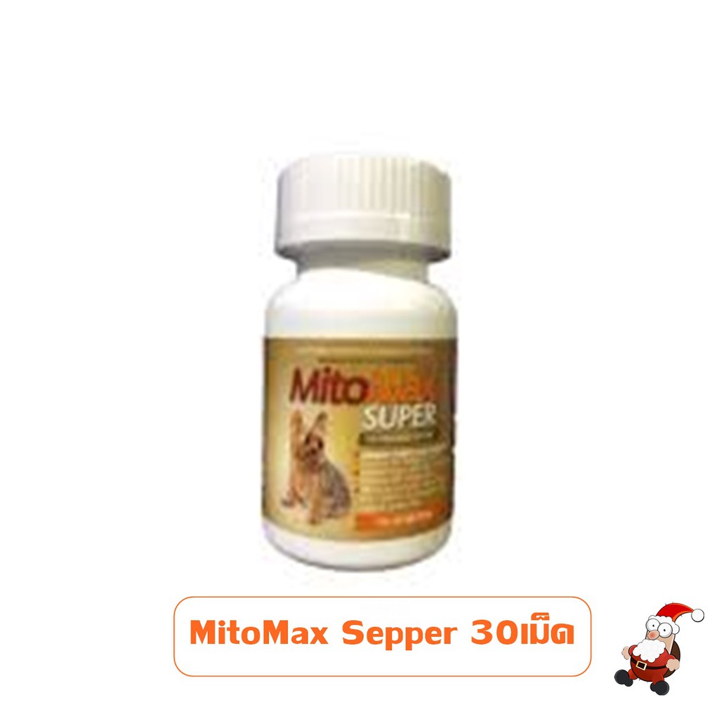 Mito Max super Small dogs | Shopee Thailand