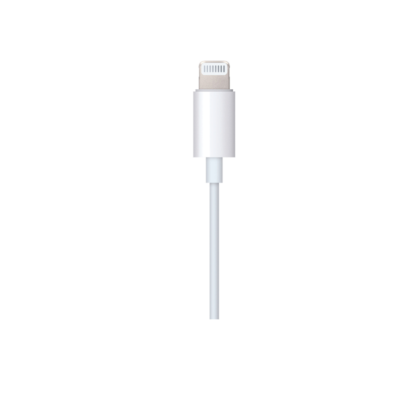 Apple Lightning to USB Cable (1 m) | Shopee Thailand