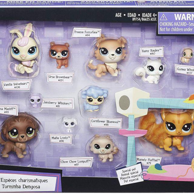Littlest pet shop a colorful bunch store