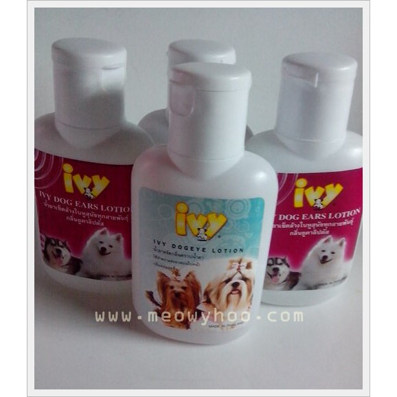 ivy dog eye lotion น้ำยา-ขจัดกลิ่น คราบน้ำตา | Shopee Thailand