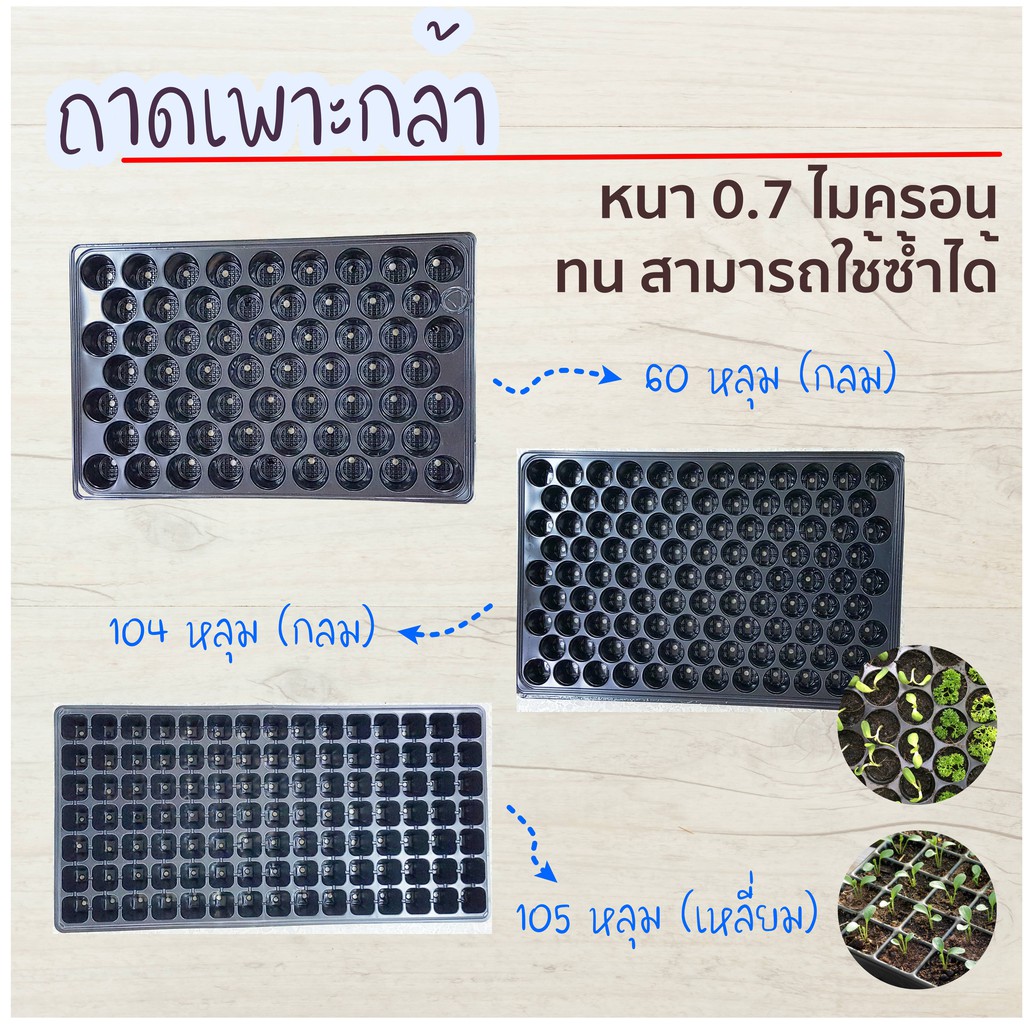 ถาดเพาะกล้า ถาดหลุม 60 104 105 200 หลุมถาดเพาะเมล็ด ตราเรือใบ ถาดเพาะต้นอ่อน ถาดเพาะต้นไม้ seed ...