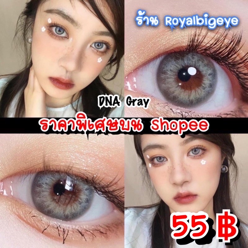 คอนแทคเลนส์ DNA Gray - Wink Lens สีเทาขนาดมินิ ขายดี มีสายตาถึง -7.00 ...