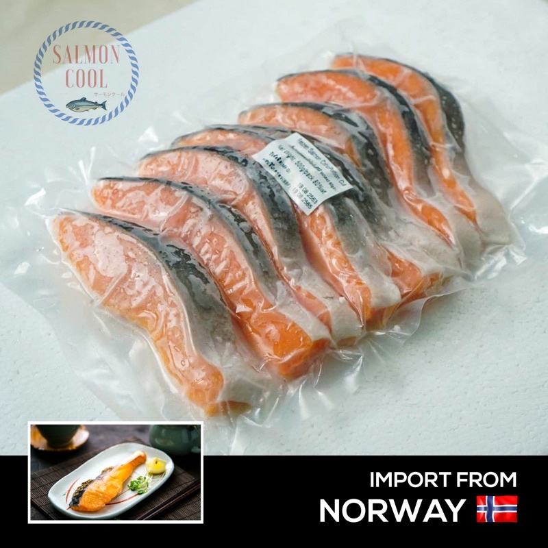 แซลมอนโคโฮหั่นคิริมิ 8ชิ้น/Pack(500g) (Salmon Coho Kirimi Cut) | Shopee ...