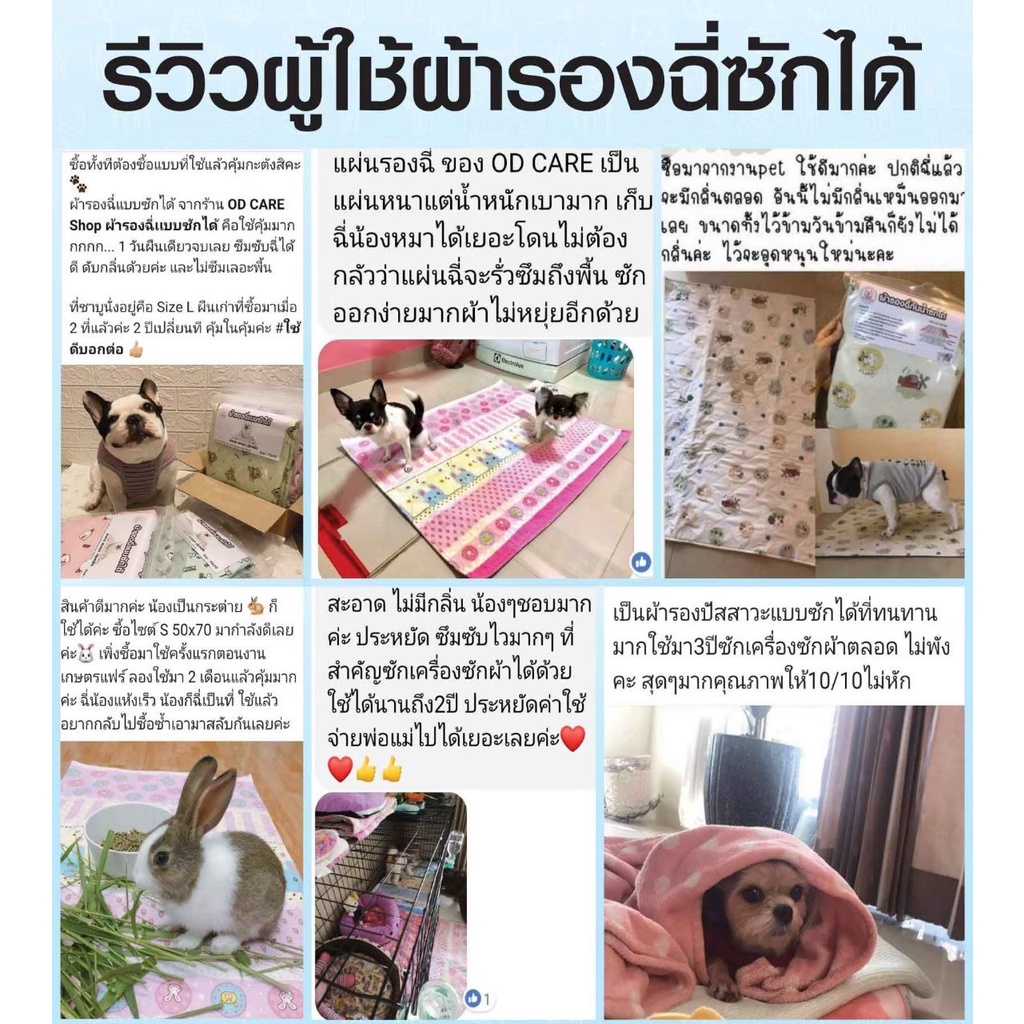 ผ้ารองฉี่แบบซักได้ แผ่นรองฉี่ OD CARE ซึมซับดี ลดกลิ่น ซักได้ แห้งไว ...