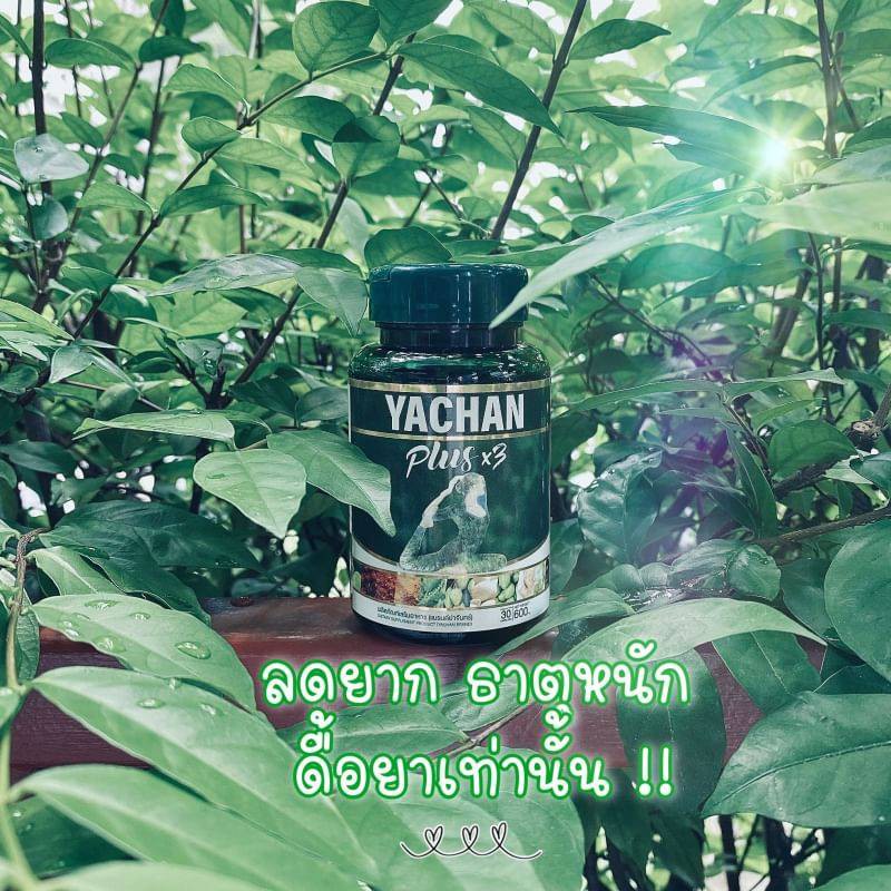 ผลิตภัณฑ์เสริมอาหาร (ตรา ย่าจันทร์ พลัส เอ็กซ์สาม) YACHAN Plus x3 ขนาด ...