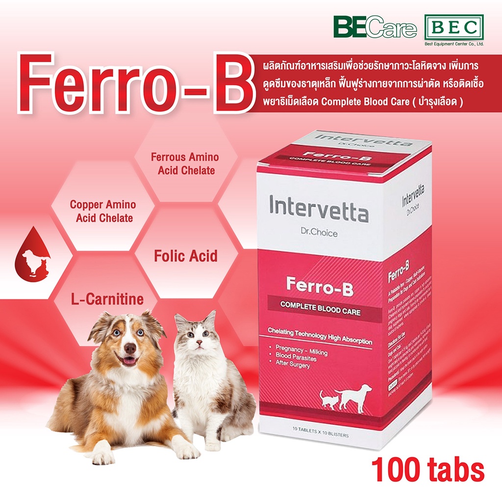 Intervetta/Ferro-B ผลิตภัณฑ์อาหารเสริมเพื่อช่วยรักษาภาวะโลหิตจาง เพิ่ม ...