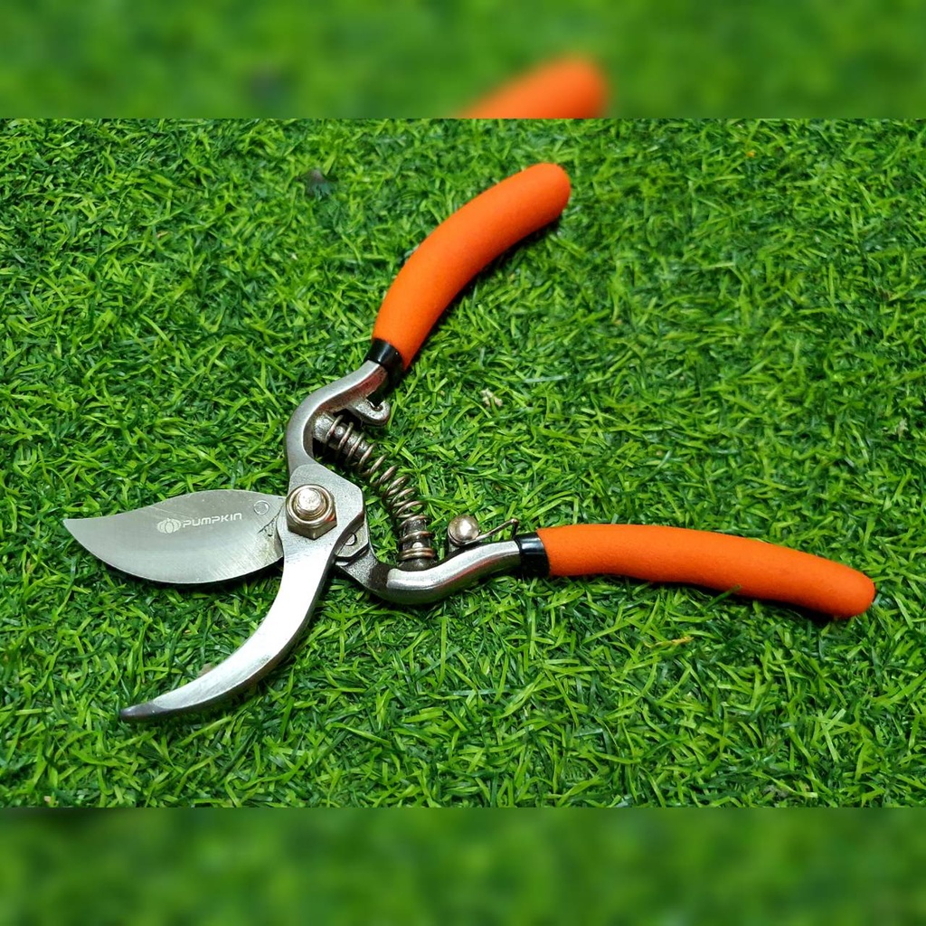 PUMPKIN กรรไกรตัดกิ่งไม้ Drop forged รุ่น PTG-D6T (33538) ขนาด 6 นิ้ว ...