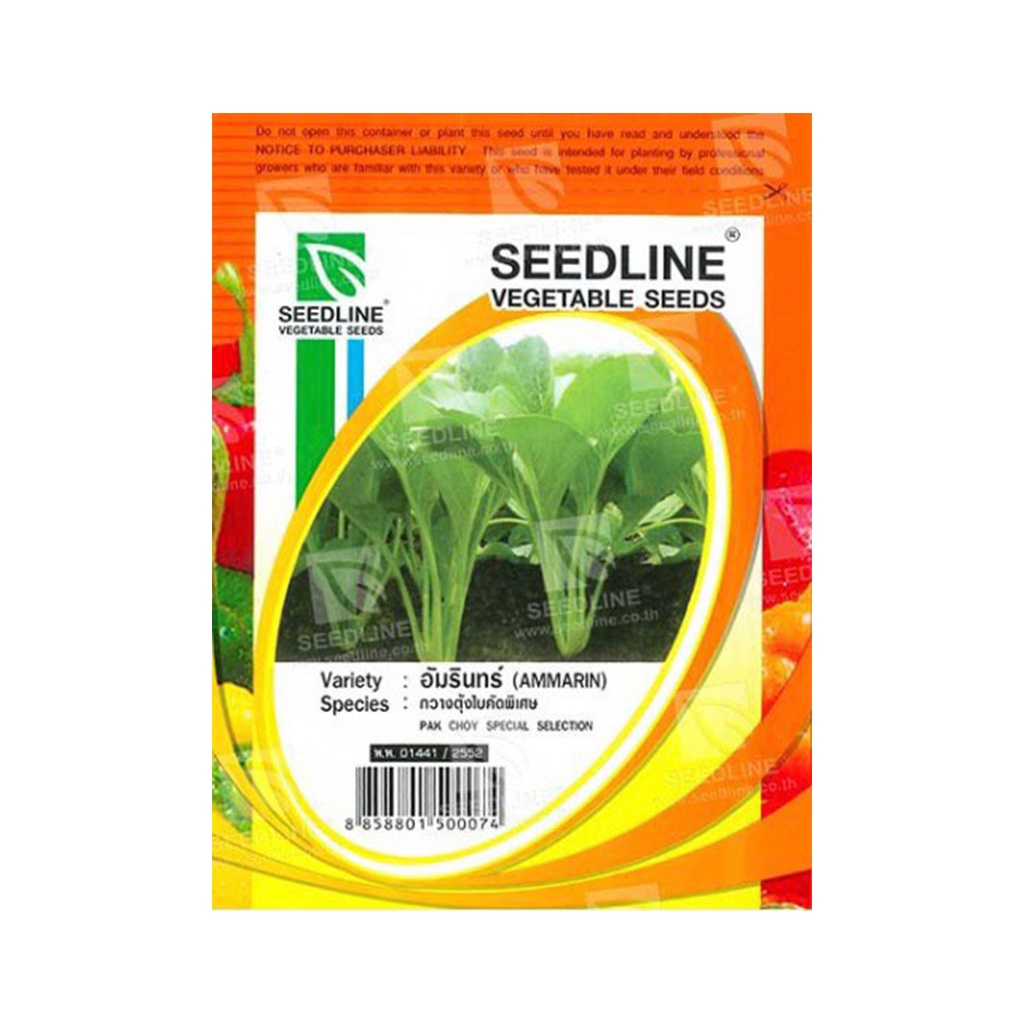 (พร้อมส่ง) SEEDLINE - เมล็ดกวางตุ้งใบคัดพิเศษ (อัมรินทร์) | Shopee Thailand