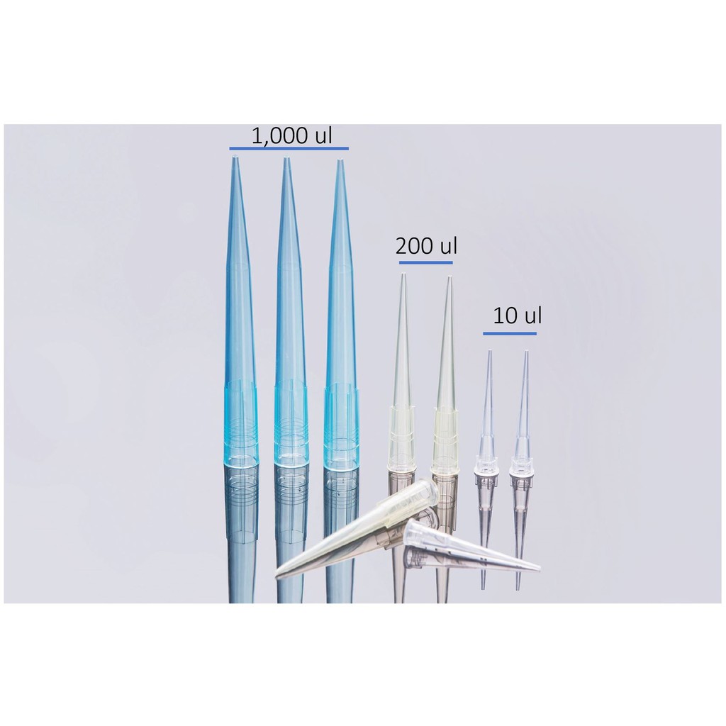 tip 20-200 ul / tip ขนาด 20-200 ul / ทิป 20-200 ไมโครลิตร / 1,000 ชิ้น ...