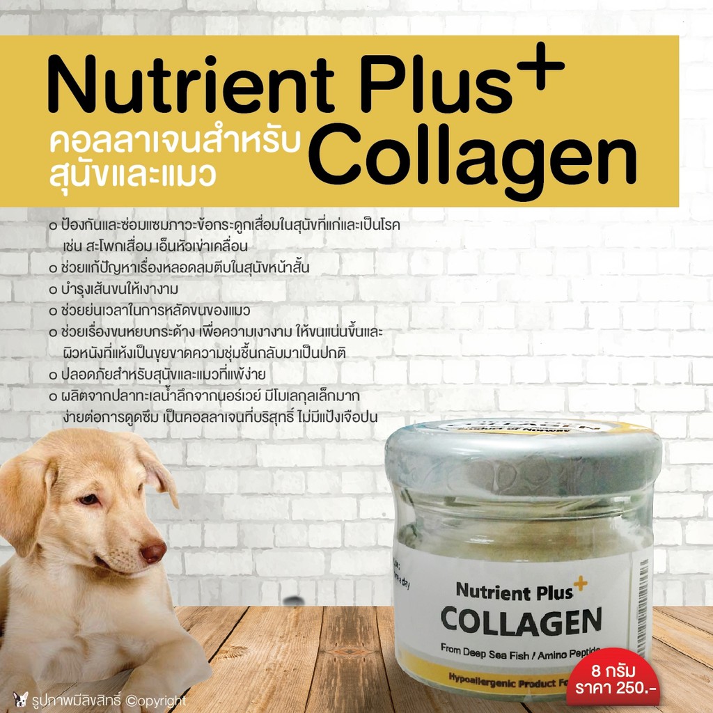 อาหารเสริม Nutrient Plus ผงคอลลาเจน บำรุงขน ผิวหนัง และข้อต่อ สำหรับสุนัขและแมว ขนาด 8 กรัม ...