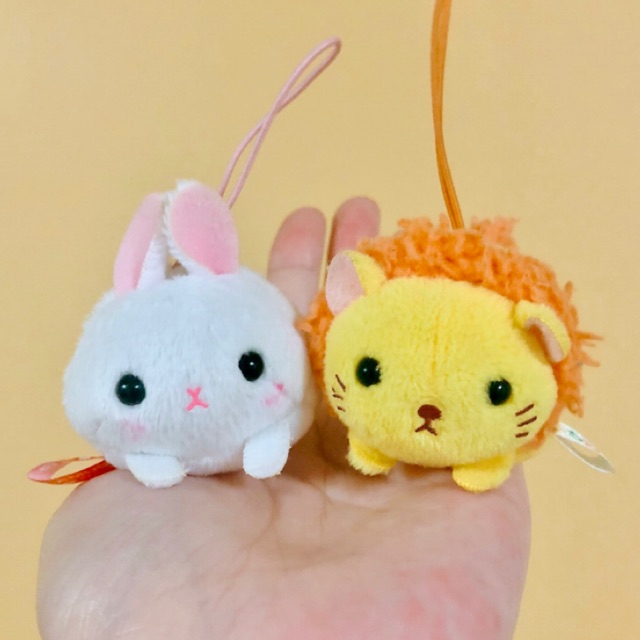 Amuse Japan | Shopee Thailand