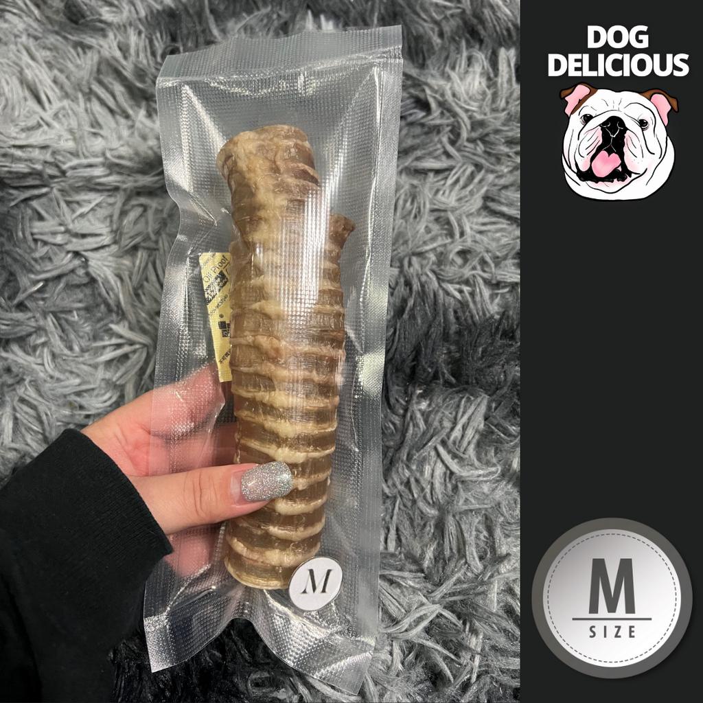 หลอดลมวัวอบเเห้ง Trachea Cow Size M | Shopee Thailand