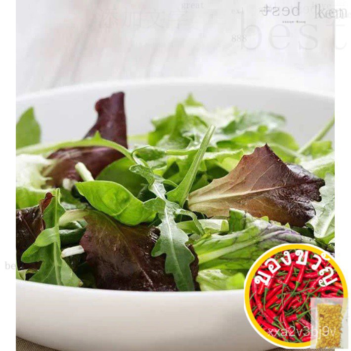 Mixed Lettuce Salad Seeds / Mesclun Mix for growing microgreens/ baby ...