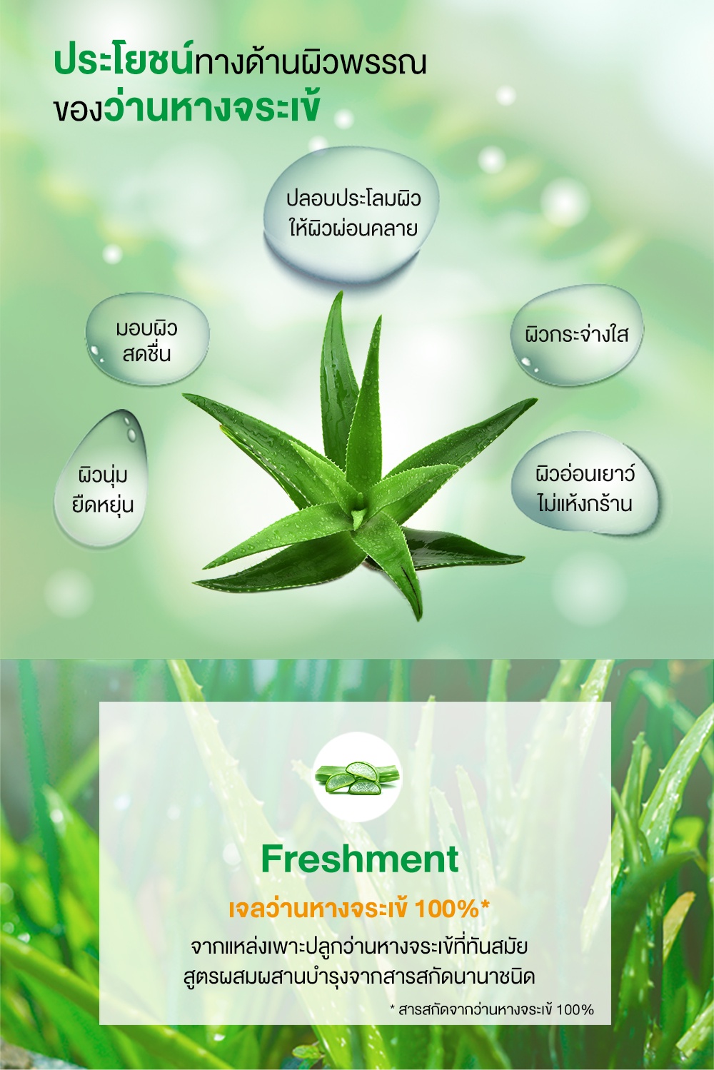 เจลว่านหางจระเข้ Freshment ซูธติ้ง แอนด์ มอยซ์เจอร์ อโลเวร่าเจล ...