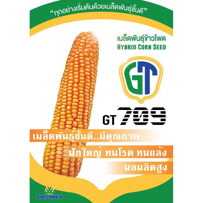 เมล็ดพันธุ์ข้าวโพด GT709 ผลผลิตสูง กำไรงาม ขนาด5กิโลกรัม สินค้ามีพร้อม ...