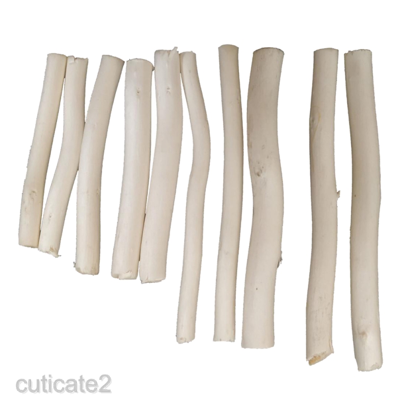 20 Pieces Wood Sticks Natural Tree Branch Wooden Sticks DIY Craft Photo ...