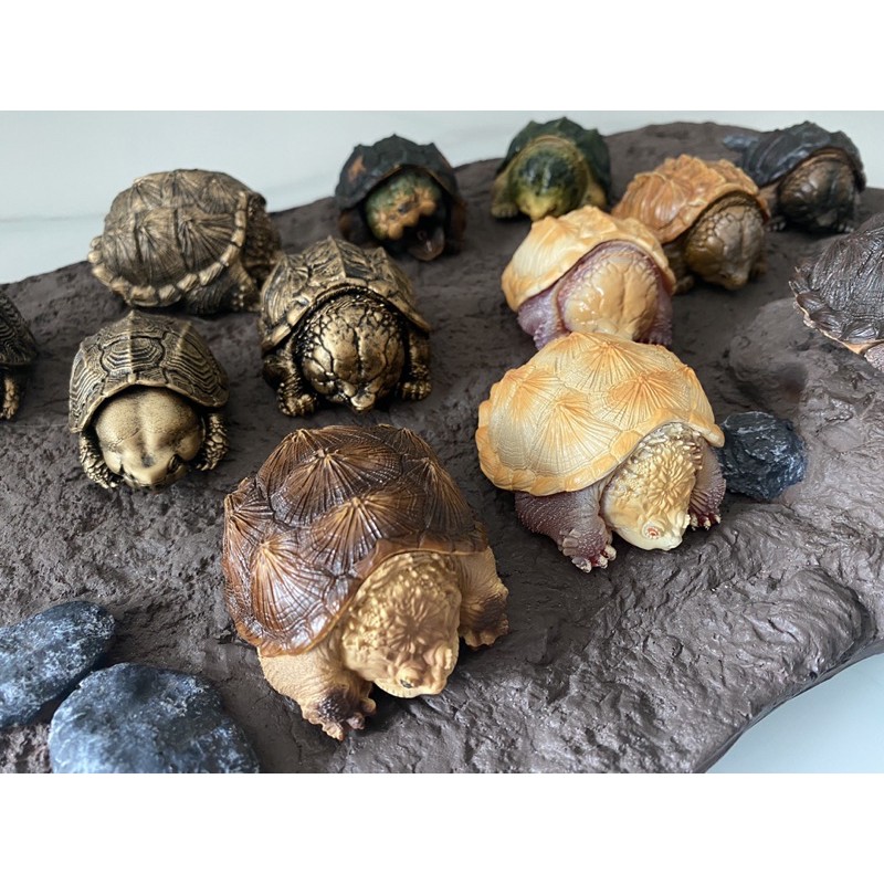 bighead series snipping turtle figurines recast โมเดลเต่าตัวเล็ก ...
