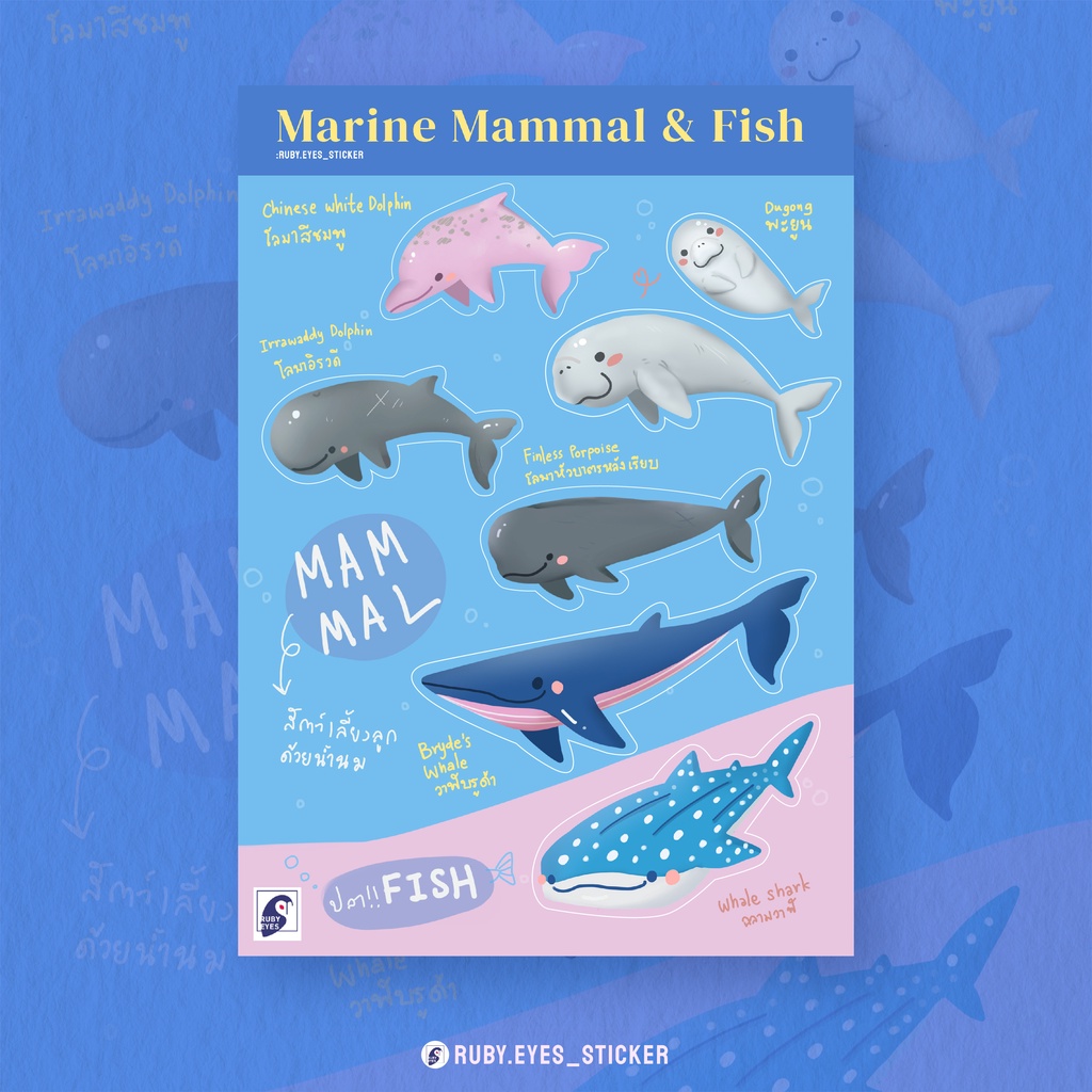 สติ๊กเกอร์ กันน้ำ ลาย Night Owl - Marine mammal&Fish - Starry Night ...