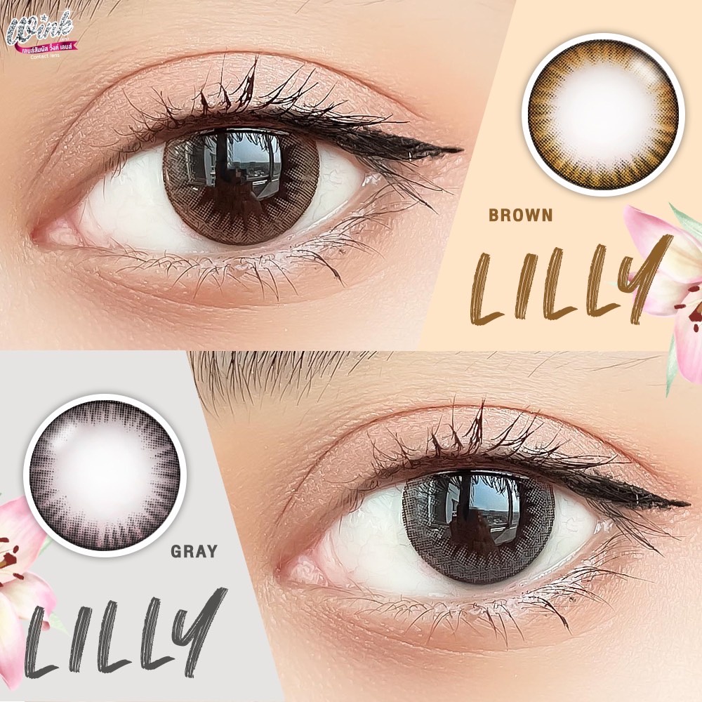 คอนแทคเลนส์🌈Lilly🌈 Brown / Gray (Wink) ขนาดกลาง💖 | Shopee Thailand